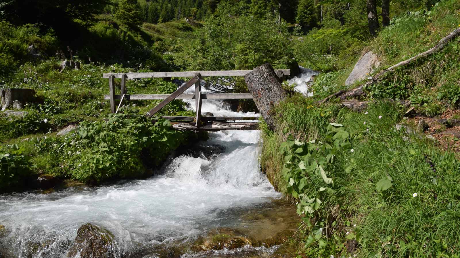 Naturerlebnis Wasserfall Triefen - Landhotel Schafhuber